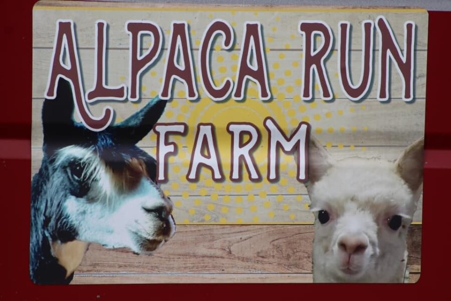 Alpaca Run Farm - Greater Parkersburg CVB